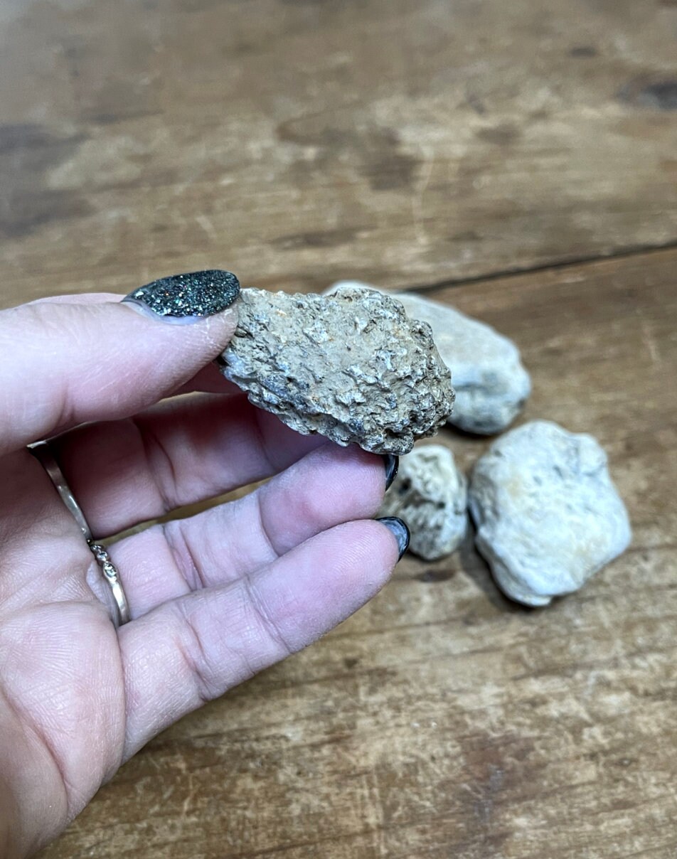 Lot of Natural Ohio River Rocks for Tank Decorating Gnarly - Etsy
