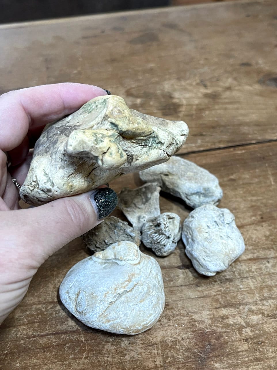 Lot of Natural Ohio River Rocks for Tank Decorating Gnarly - Etsy