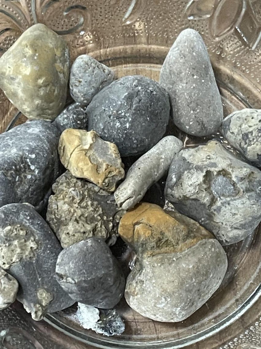 Decorative Natural Stone for Tanks- Gnarly Ugly Character Rocks - Etsy
