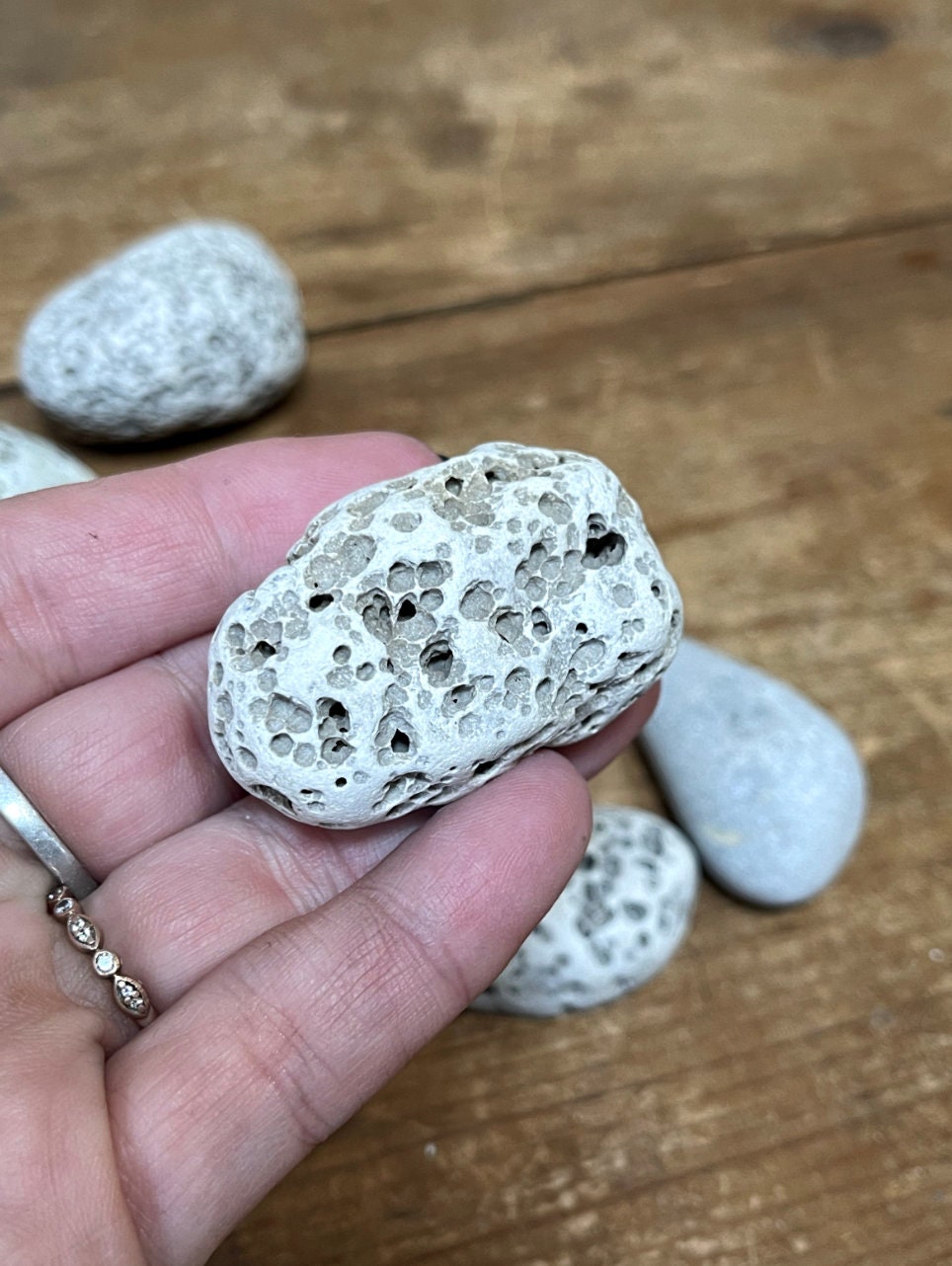 Lot of Natural Ohio River Rocks for Decorating Super Cool Porous Stone ...