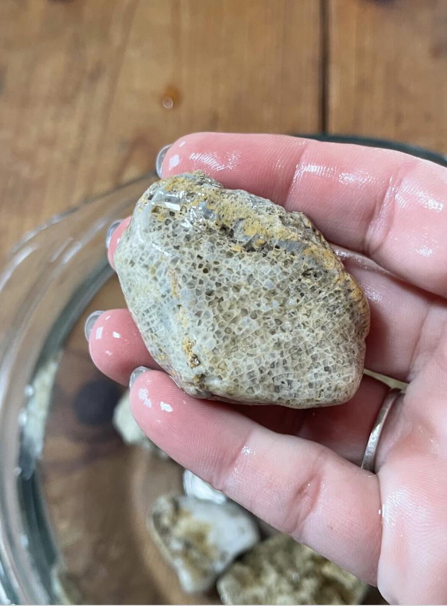 Natural Ohio Rocks for Tank Decorating- Porous Quartzite and Large ...