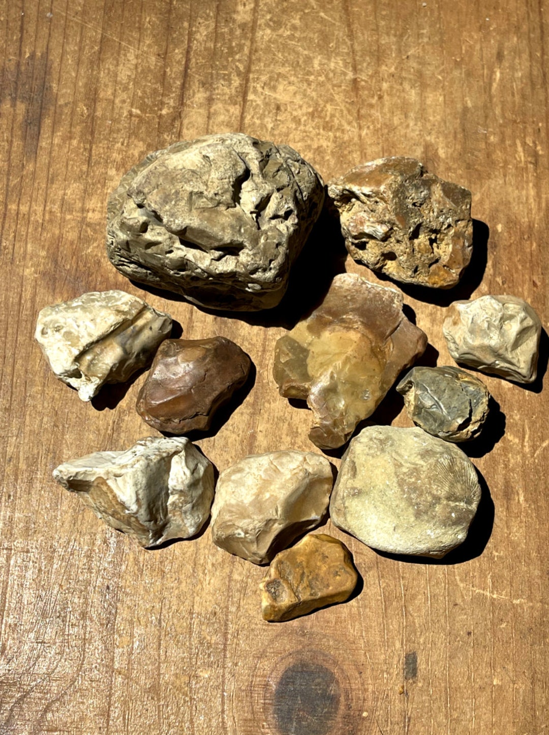 Lot of Natural Ohio River Rocks for Decorating- Dark Flint Chert With ...