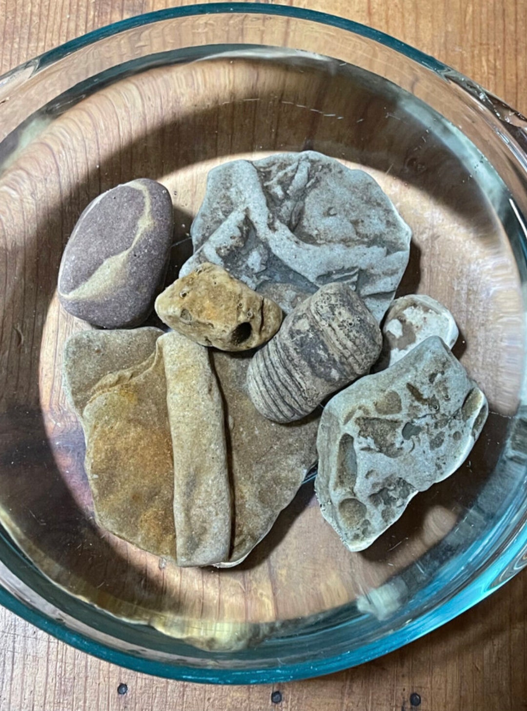 Natural Ohio Rocks for Tank Decorating- Cool Sandstone Rocks Aquarium ...
