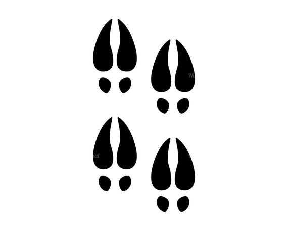 Deer Hoof Print