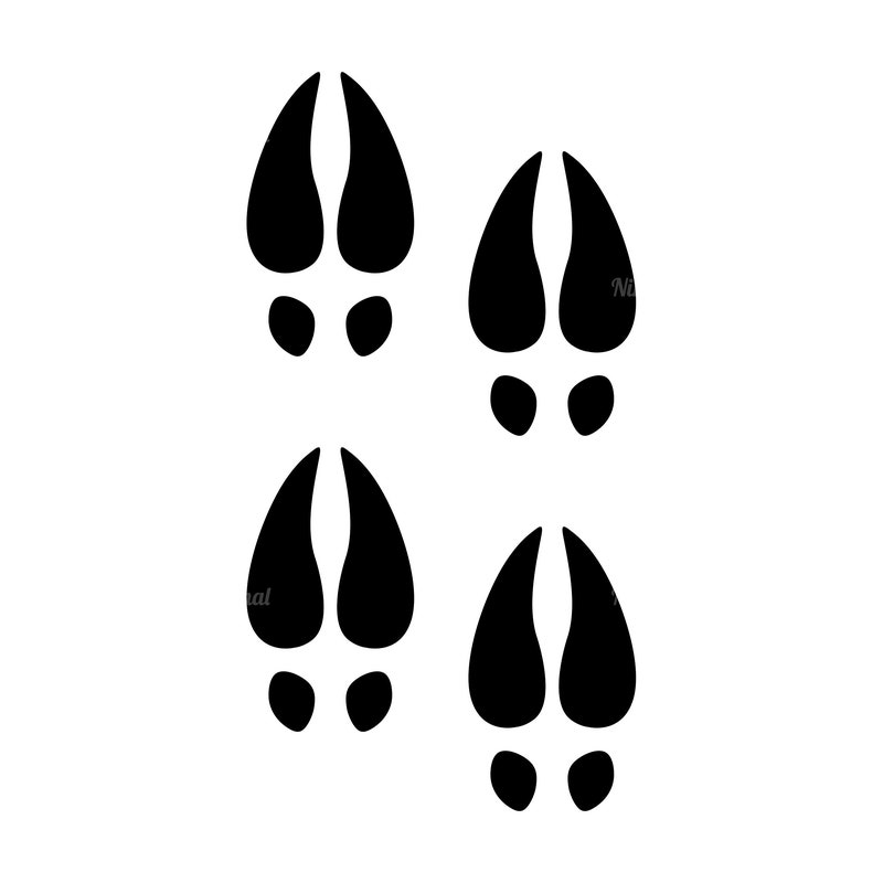 Hoof Prints - Etsy
