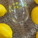 Hand Painted Delicate Lemon Wine Glass - Etsy