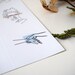 Minimalist One Line Sticker Sheet | Flowers Ancient Heads Square ...