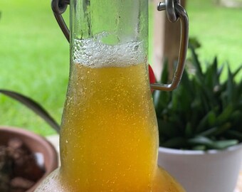 Organic Jun STARTER TEA / CULTURE With Scoby - Etsy