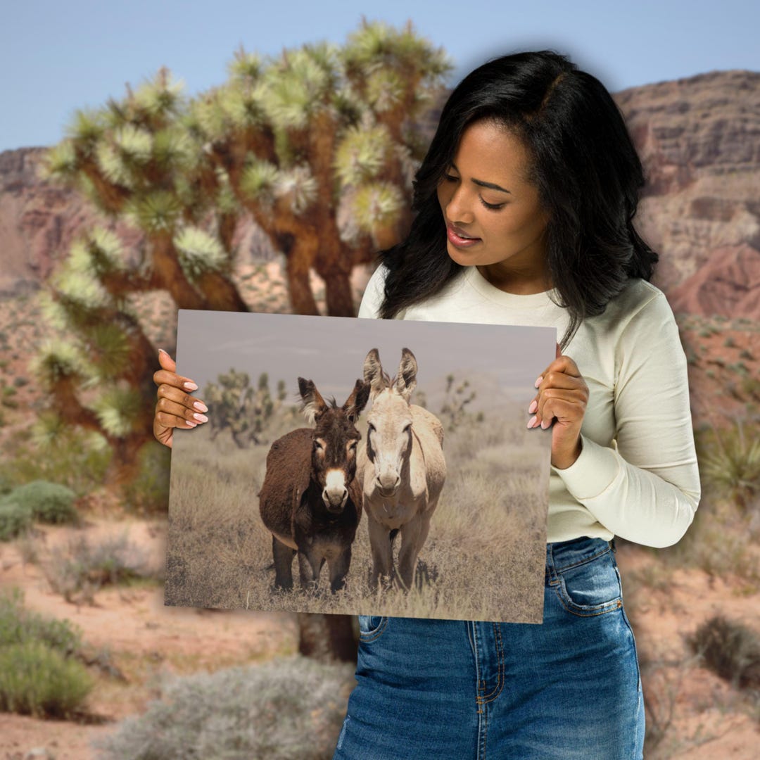 Wild Burros Wall Art - Metal Donkeys Photo Print - Etsy