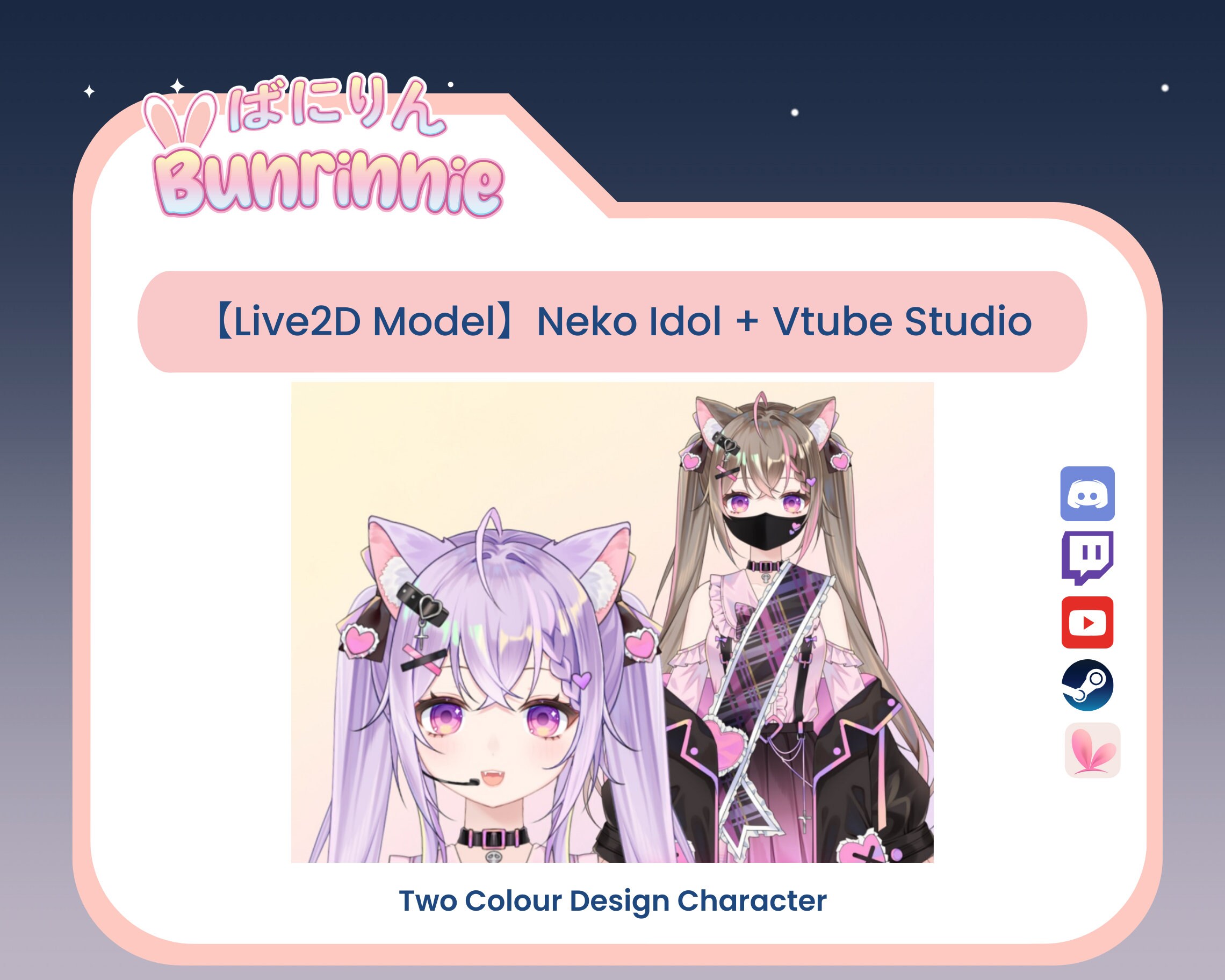 Characterlive2d Modelneko Idol Vtube Studio - Etsy