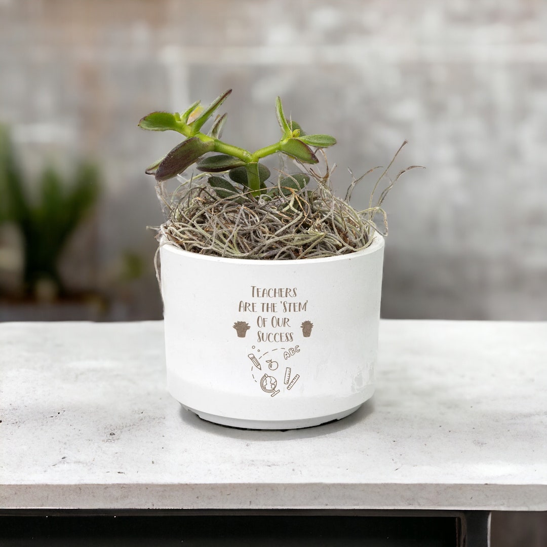 Teacher Appreciation Gift, Teacher Gift Succulent Plant, Teachers Are ...