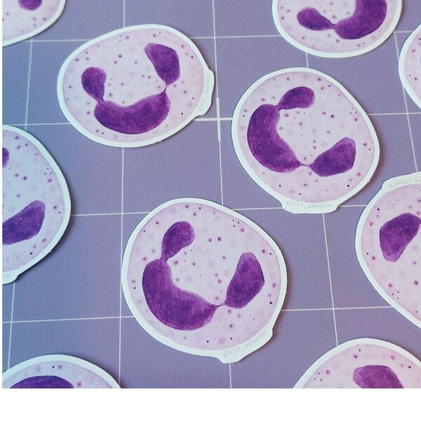 Science Sticker - Etsy