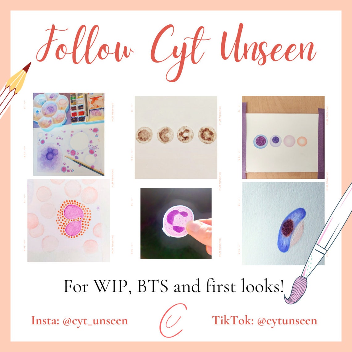 Blood Cell Stickers: Neutrophil. Haematology Stickers, Biomedical ...