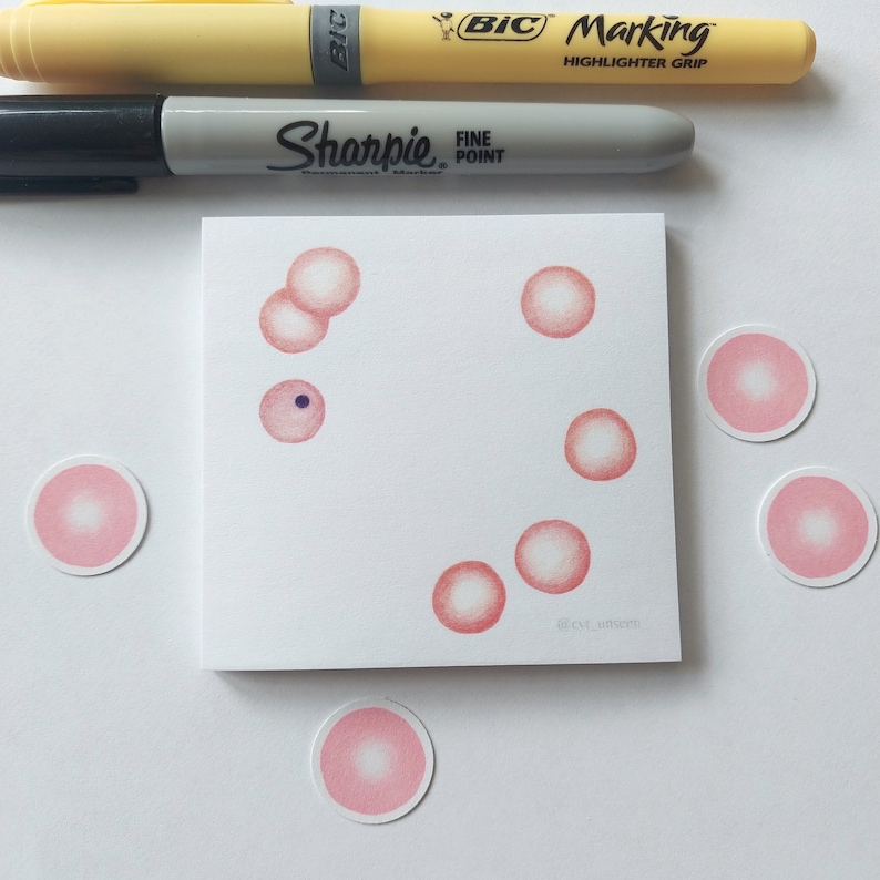 Red Blood Cell Art Post-it Notes, Biology Sticky Notes - Etsy