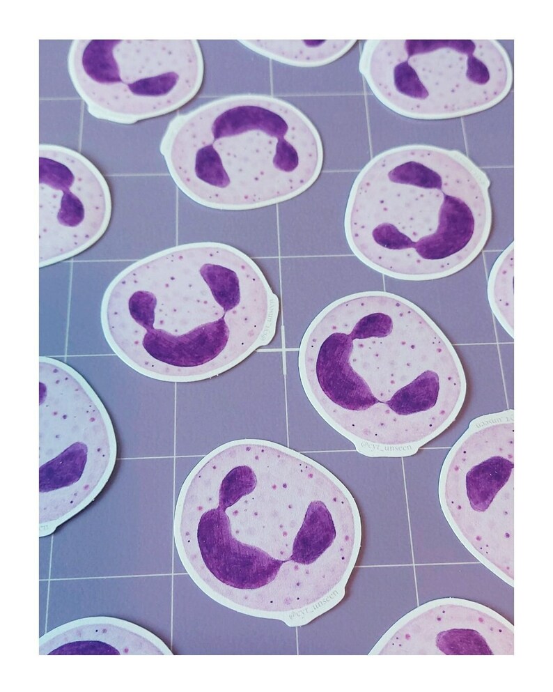Blood Cell Stickers: Neutrophil. Haematology Stickers, Biomedical ...