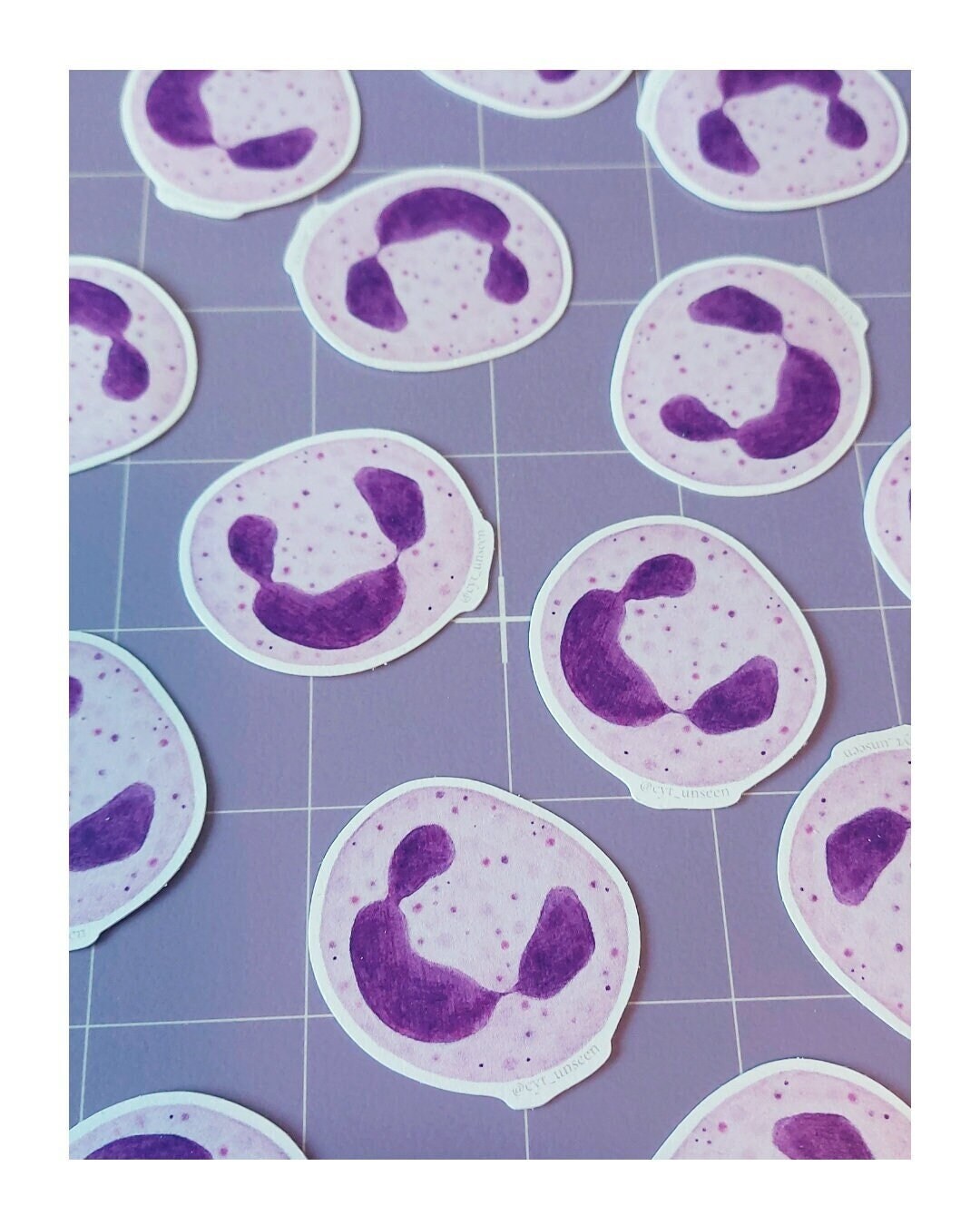 Blood Cell Stickers: Neutrophil. Haematology Stickers, Biomedical ...