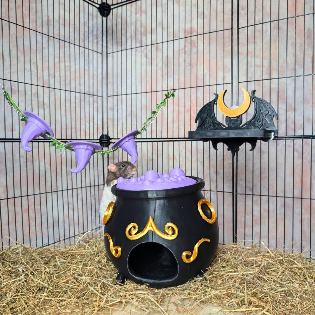 Gothic Witch Rat Cage Decor Set | Cauldron Hideout, Bat Platform - Etsy