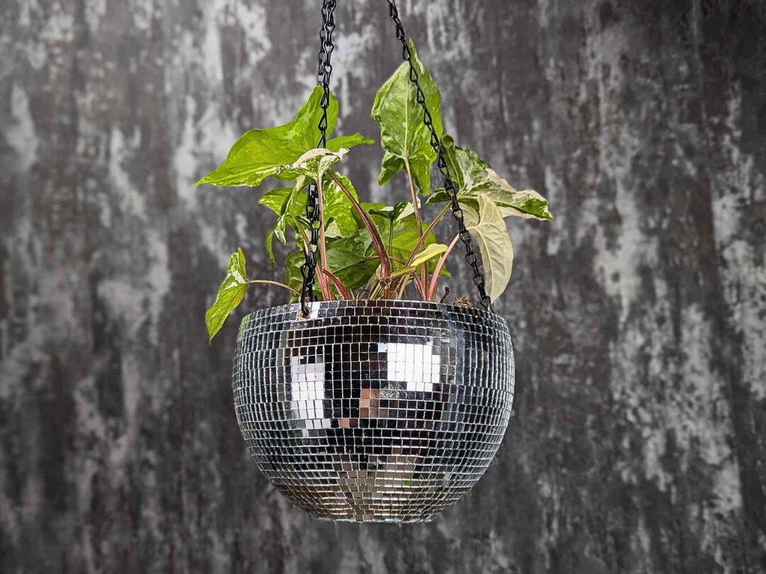Hanging Disco Ball Planter - Mirror Glass Indoor Plant Pot - Etsy