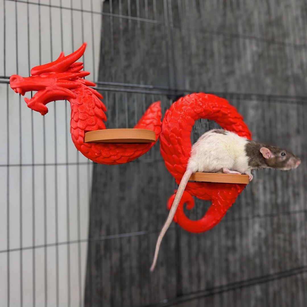 Dragon Rat Shelves | Fantasy Cage Decor, Handmade Small Animal Ledge - Etsy