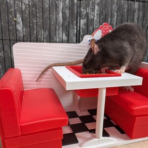 Personalized Rat Diner | Cute Rat Food Bowl Diner | Small Animal Cage ...