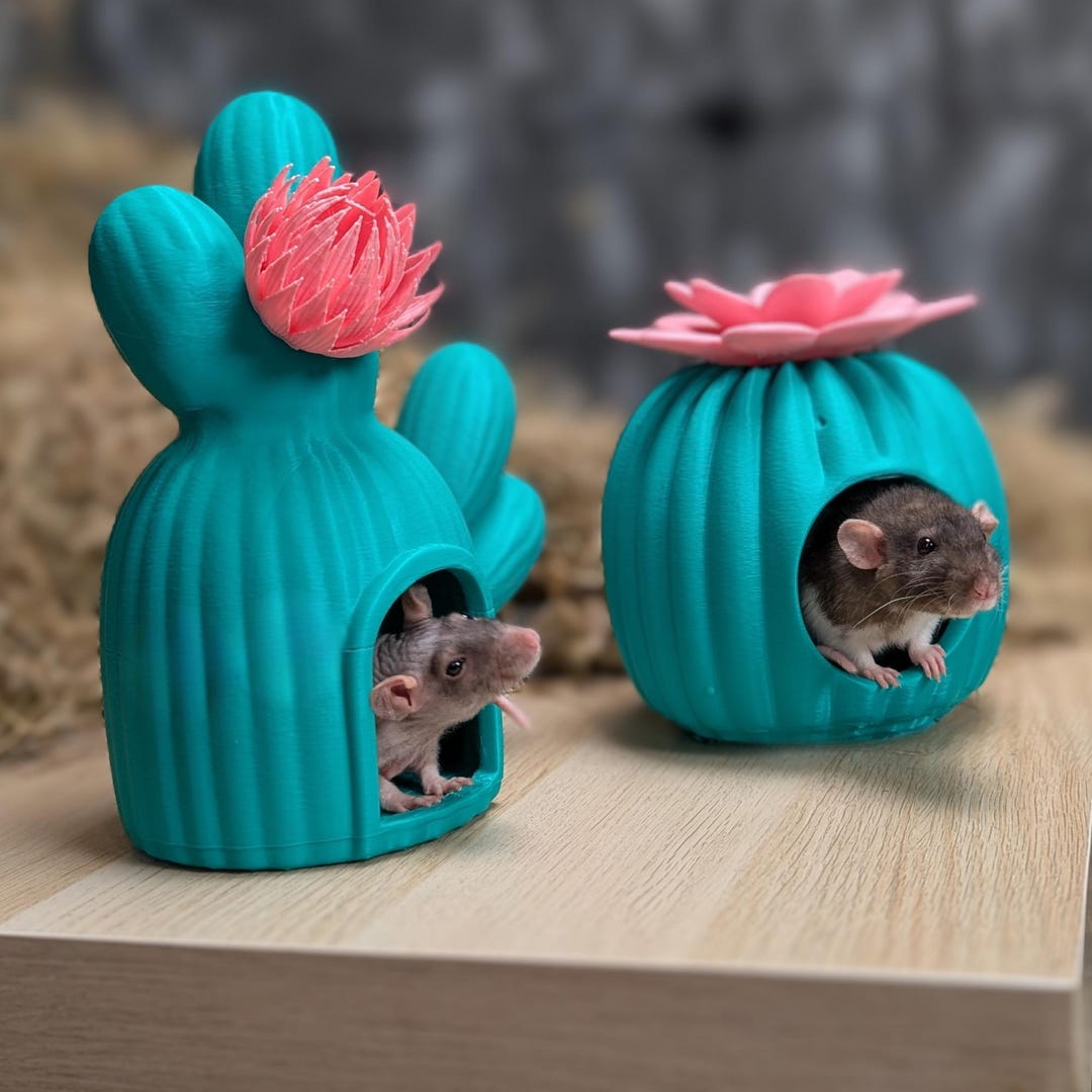 Rat House Cactus Hide | 3D Printed Pet Bed | PLA Cage Accessory | Small ...