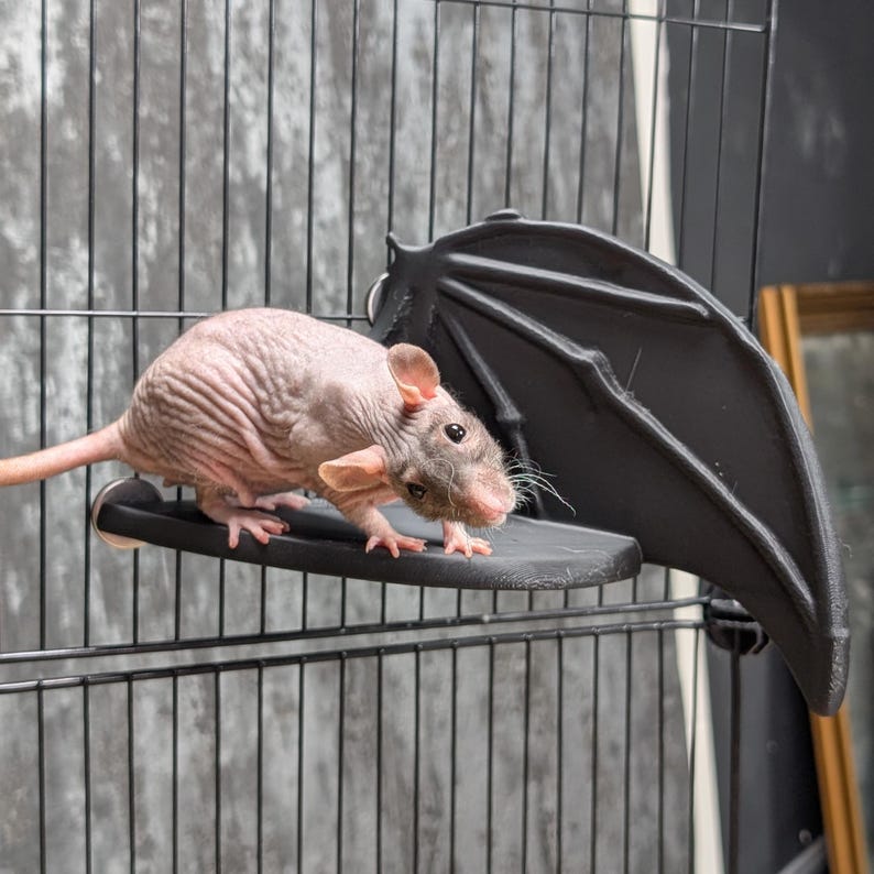 Bat Wing Rat Cage Shelf | Gothic 3D Printed Pet Perch - Etsy