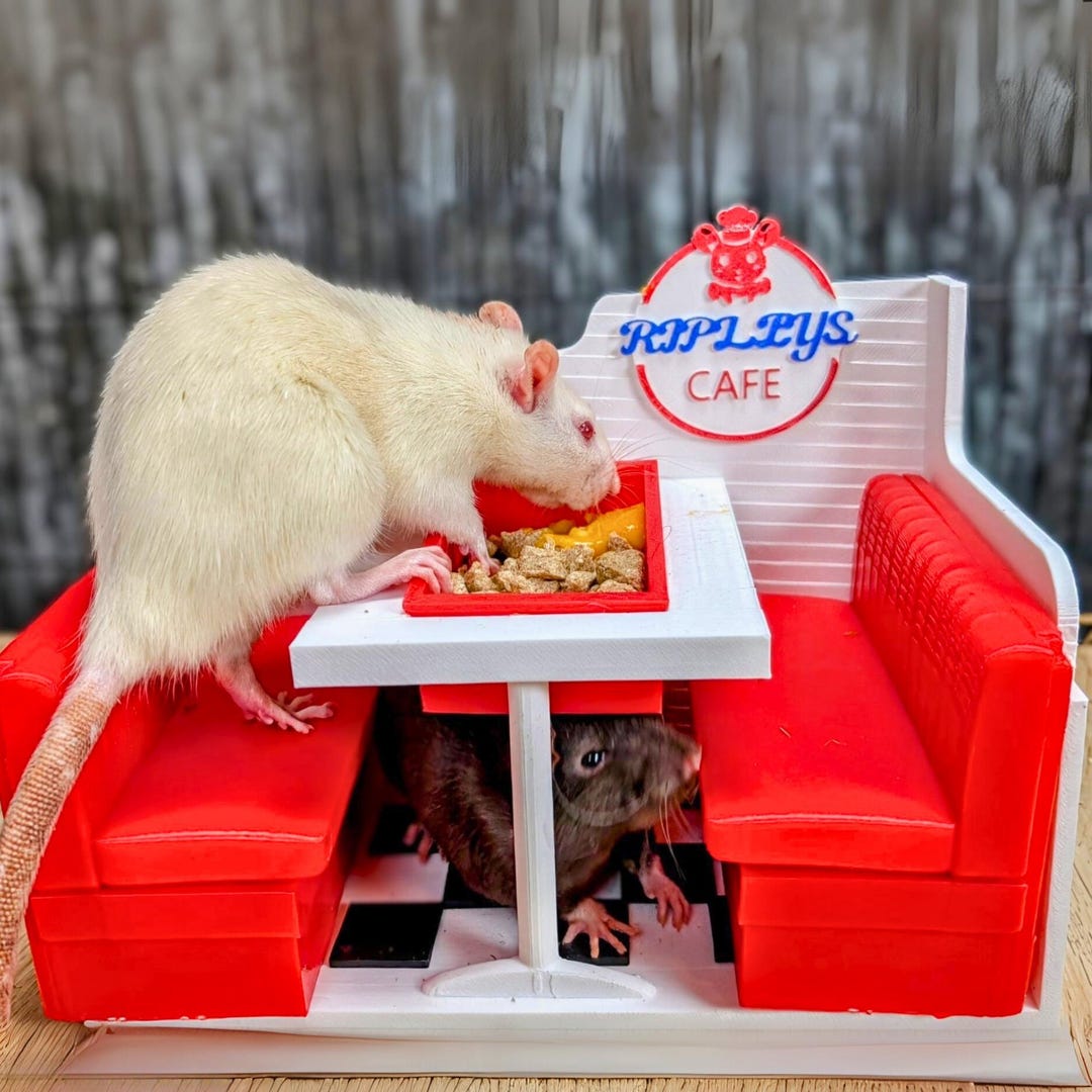 Personalized Rat Diner | Cute Rat Food Bowl Diner | Small Animal Cage ...
