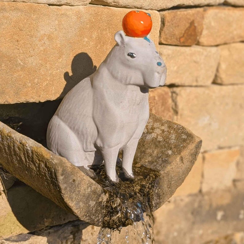 Capybara Concrete Sculpture With Orange | Quirky Garden Ornament - Etsy