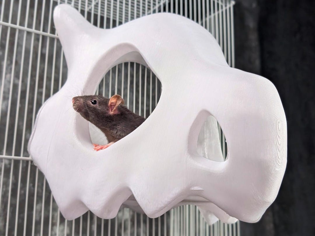 Rat Hide & Nest Gothic Skull, Aesthetic Cage Decor W/ Wing Nuts, Kawaii ...