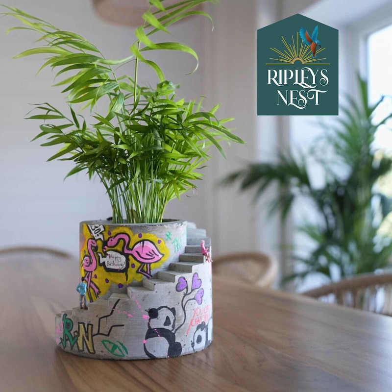 Graffiti Art Plant Pot - Etsy UK