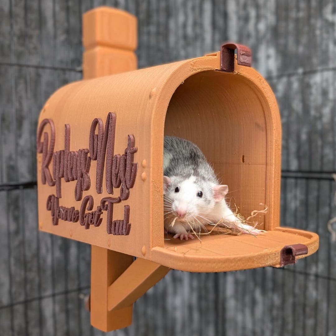 Custom Rat Mailbox Hideout, Personalised Rat Cage House - Etsy