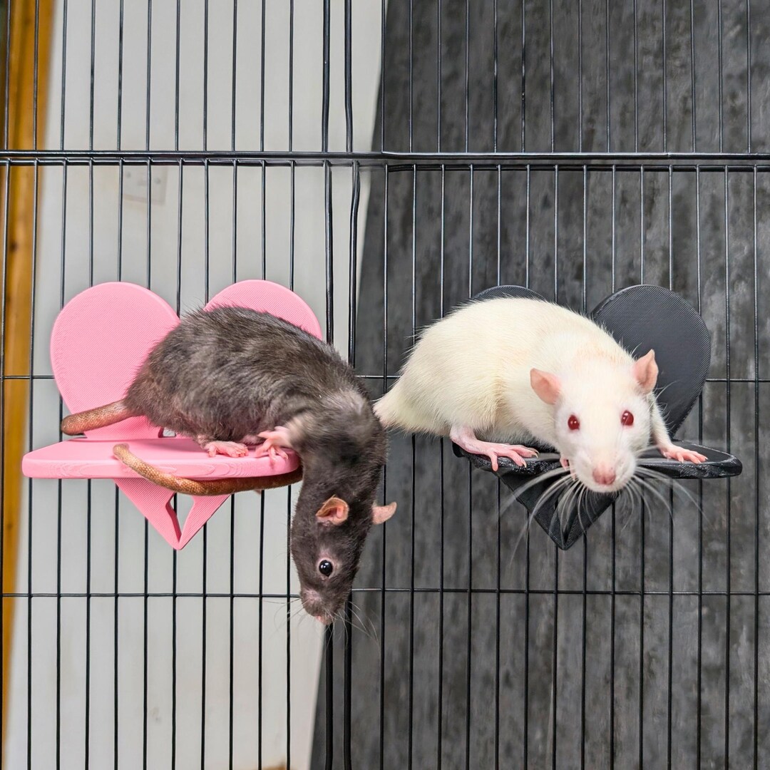 Heart Rat Cage Shelves Set of 2 | Pink Black Rat Cage Ledges | Small ...
