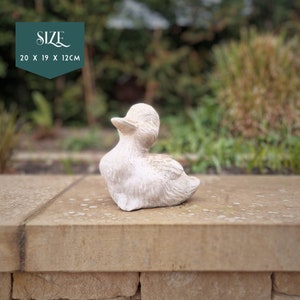 Quirky Stone Duck Ornament Funny Garden Accessories, Book Ends for ...