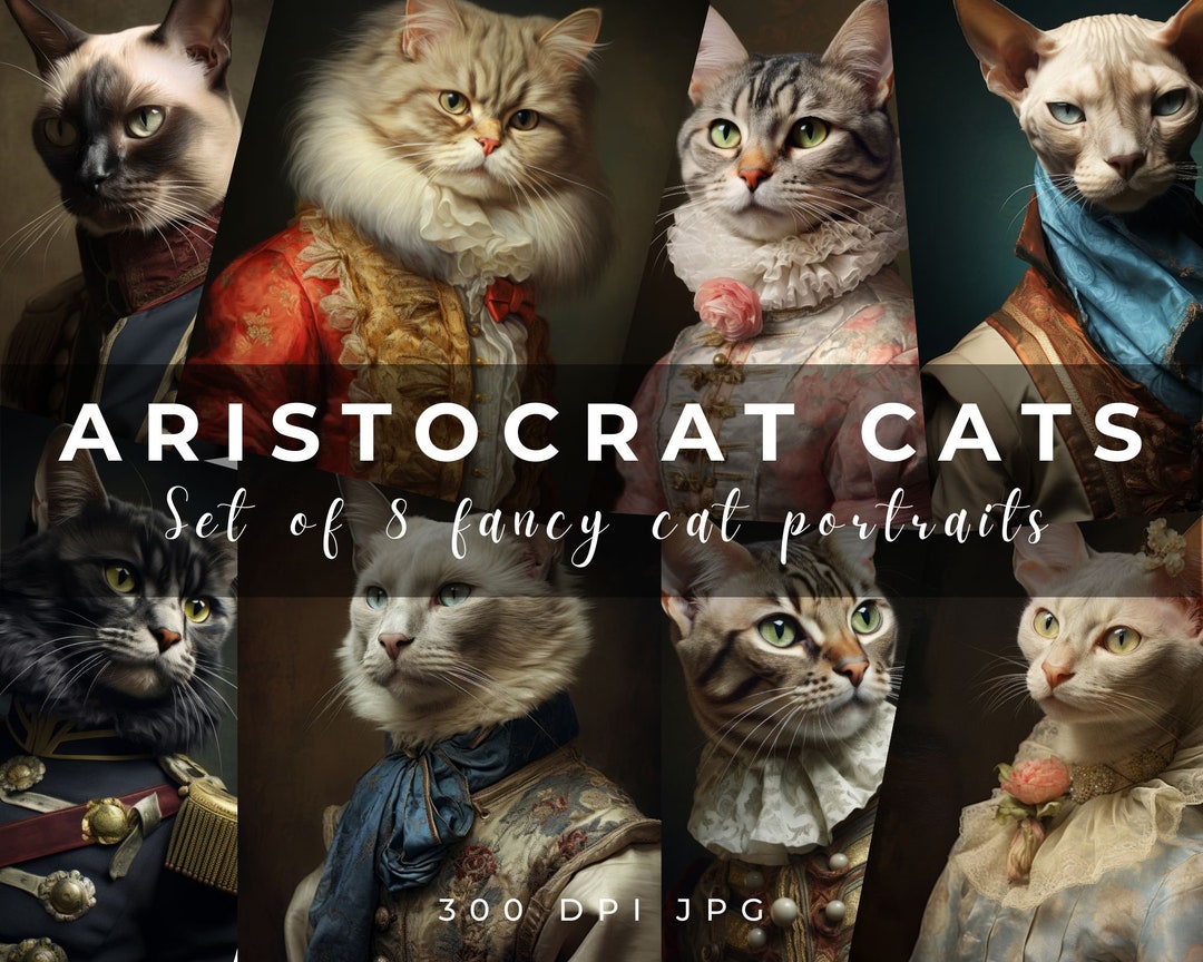 Aristocrat Cat Portraits / Renaissance Animal Portrait / Rococo Vintage ...