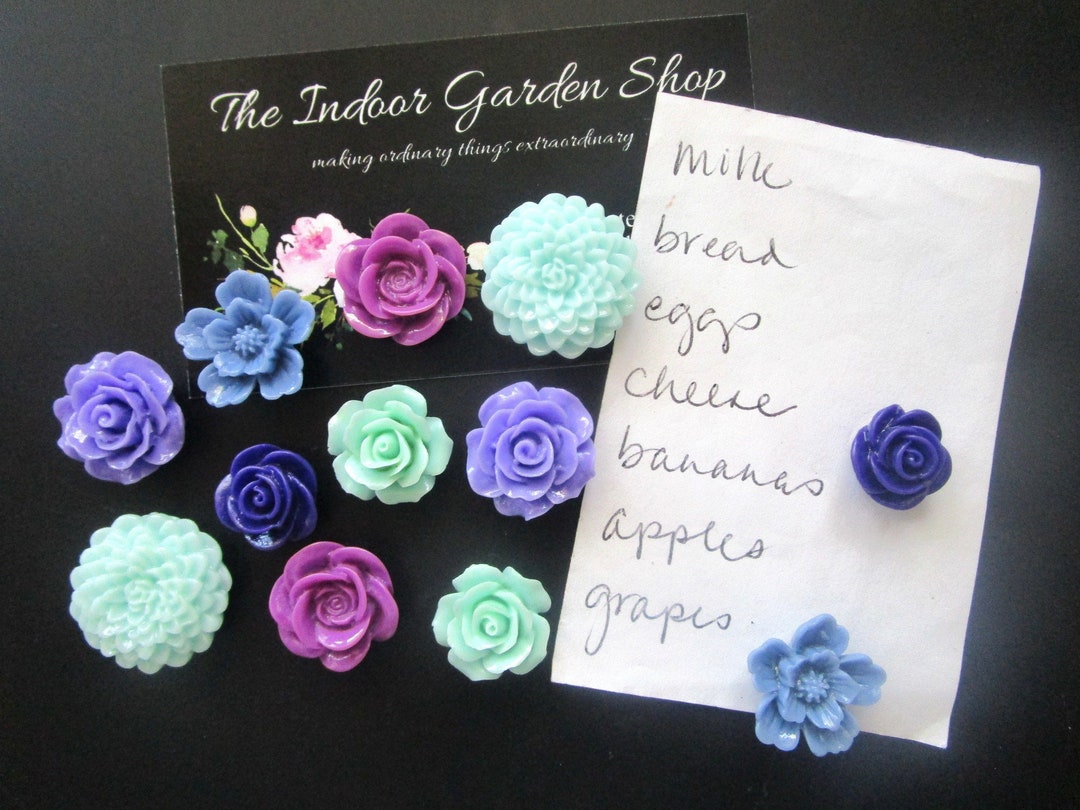 Magnets, 12 Fridge Magnets, Cubicle Decor, Office Supplies, Locker ...