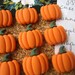Pumpkin Pushpins, 10 Cute Thumbtacks, Push Pins, Cubicle Decor, Office ...