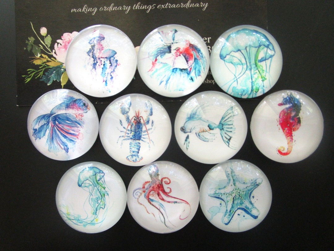 Ocean Magnets, 10 Pcs, 1" Round Magnet, Jelly Fish, Starfish, Sea Horse ...
