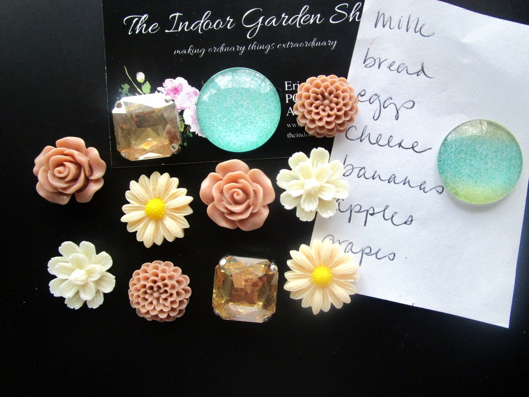 Magnets, 12 Pc Variety Set, Cubicle Decor, Locker Magnets, Glass ...