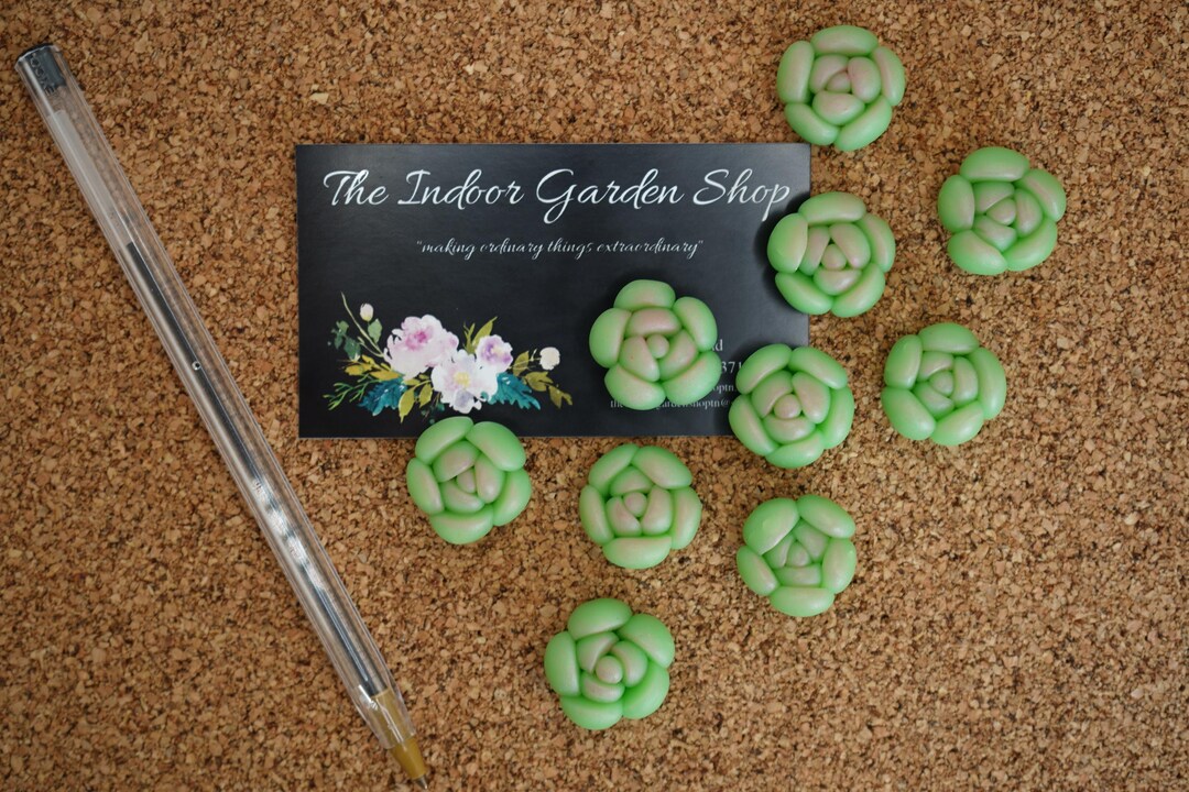 Succulent Thumbtacks, Floral Decor, Green Pushpins, Office Supplies ...