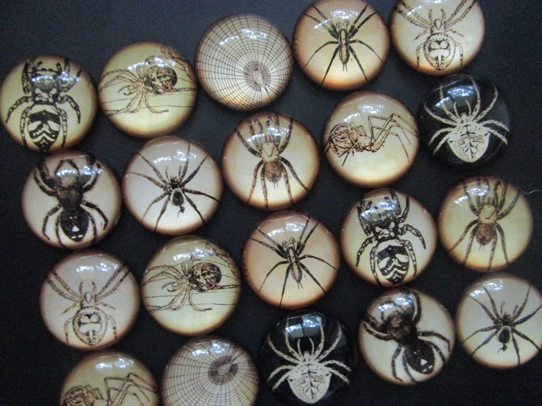 Spider Magnets, 6 to 12 Strong Fridge Magnets, 1" Round Glass, Creepy ...