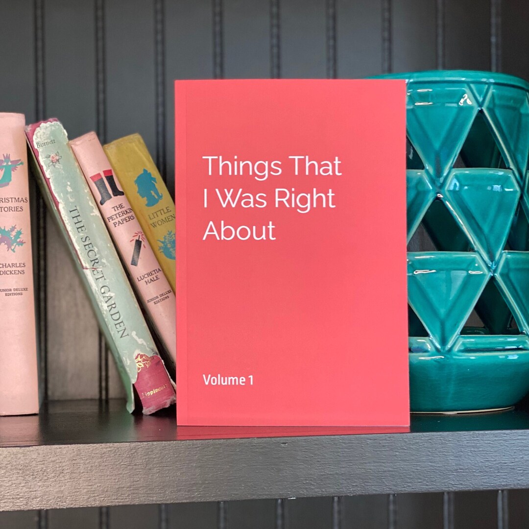 Funny Journal, Sarcastic Notebook, Gift for Friend, Mothers Day Gift ...