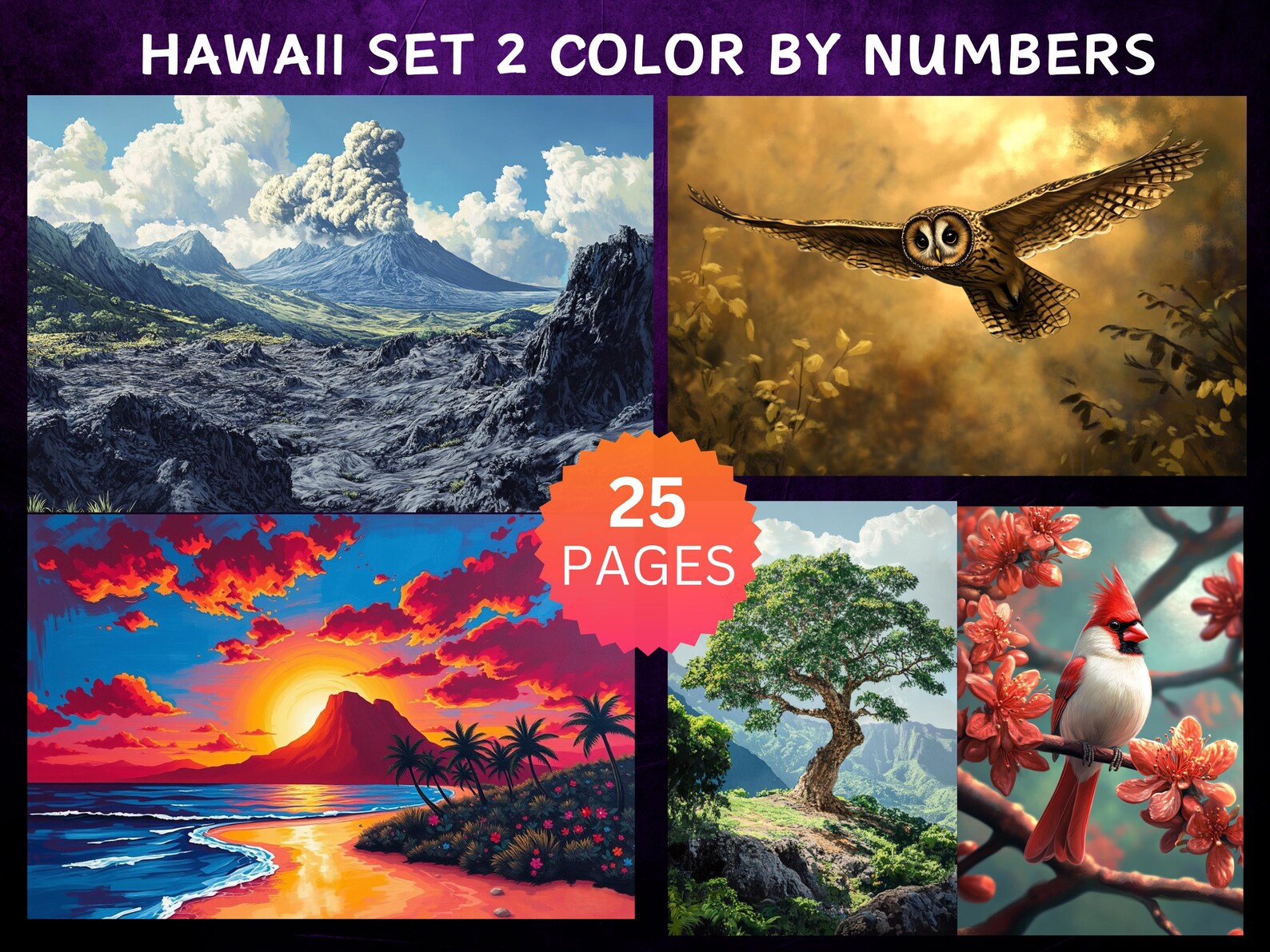 25 Color by Number Pages, Digital Coloring Pages, Paint by Numbers ...