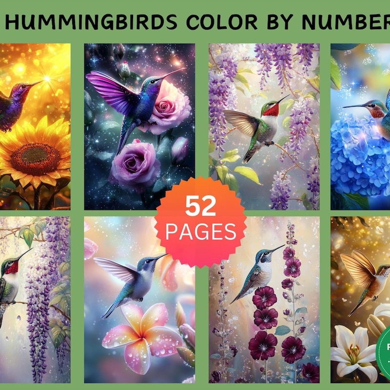Hummingbird Color Pages - Etsy