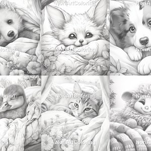 57 Cute Sleepy Baby Animals Grayscale Coloring Pages | Printable Adult ...
