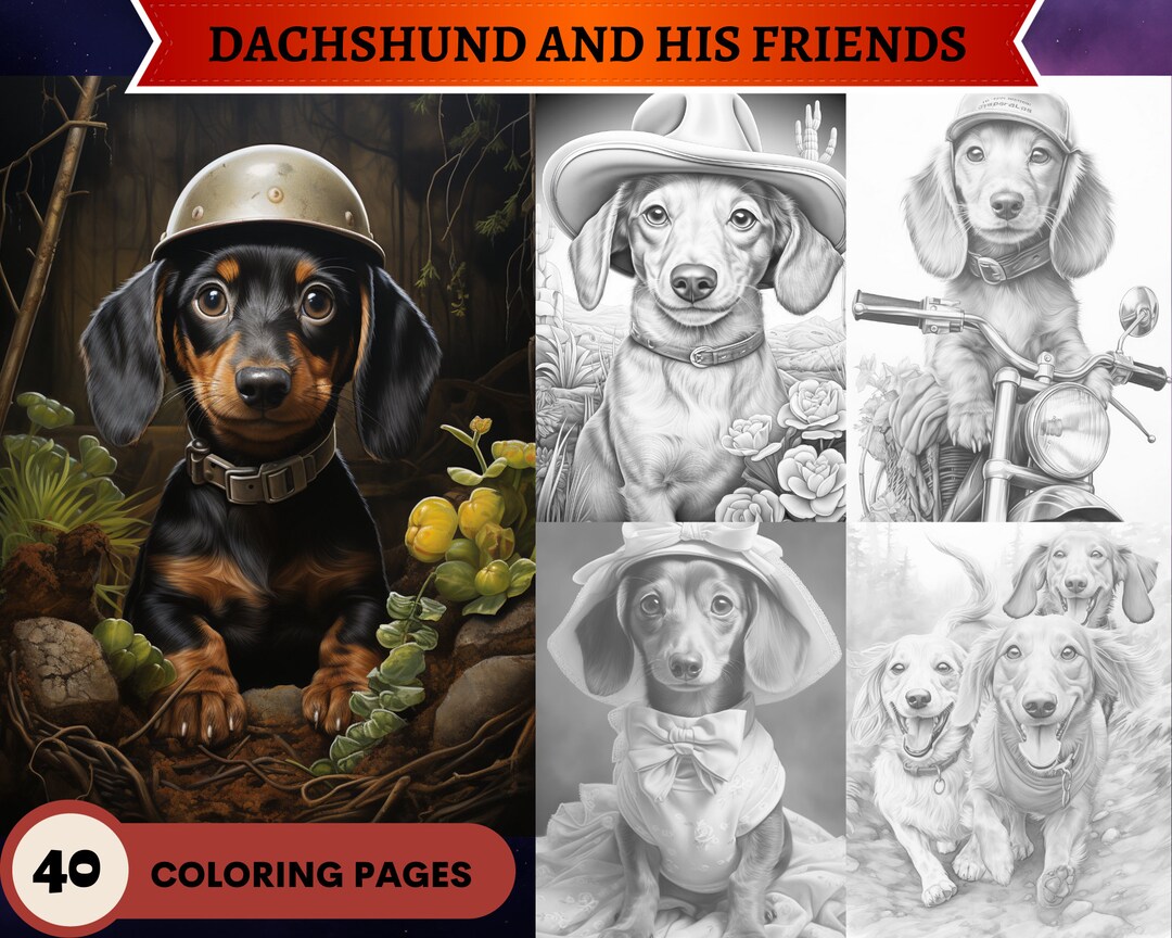 40 Cute Dachshund and Friends Grayscale Coloring Pages | Dogs Puppies ...