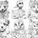 40 Cute Baby Animals Grayscale Coloring Pages | Printable Adult ...