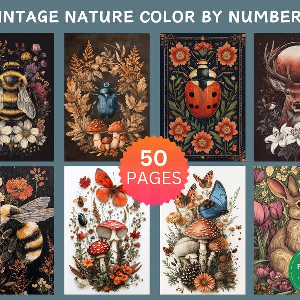 Vintage Paint by Number - Etsy