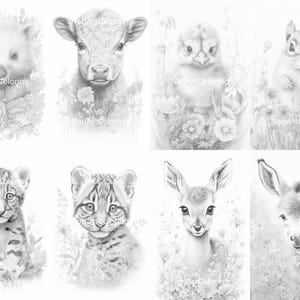 150 Cute Baby Animals With Flowers Grayscale Coloring Pages | Printable ...