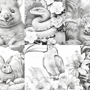 40 Realistic Wildlife Animals Set 1 Grayscale Coloring Pages ...