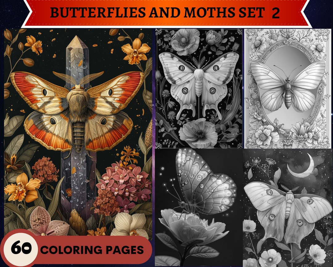 60 Butterflies and Moths Set 2 Coloring Pages | Printable Adult ...